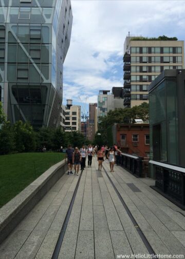 Visiting The High Line: An Insider's Guide