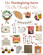 15+ Thanksgiving Items To Be Thankful For!