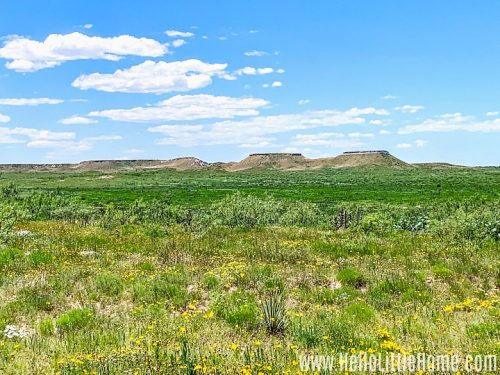 20 Fun Things to Do in Amarillo, Texas | Hello Little Home