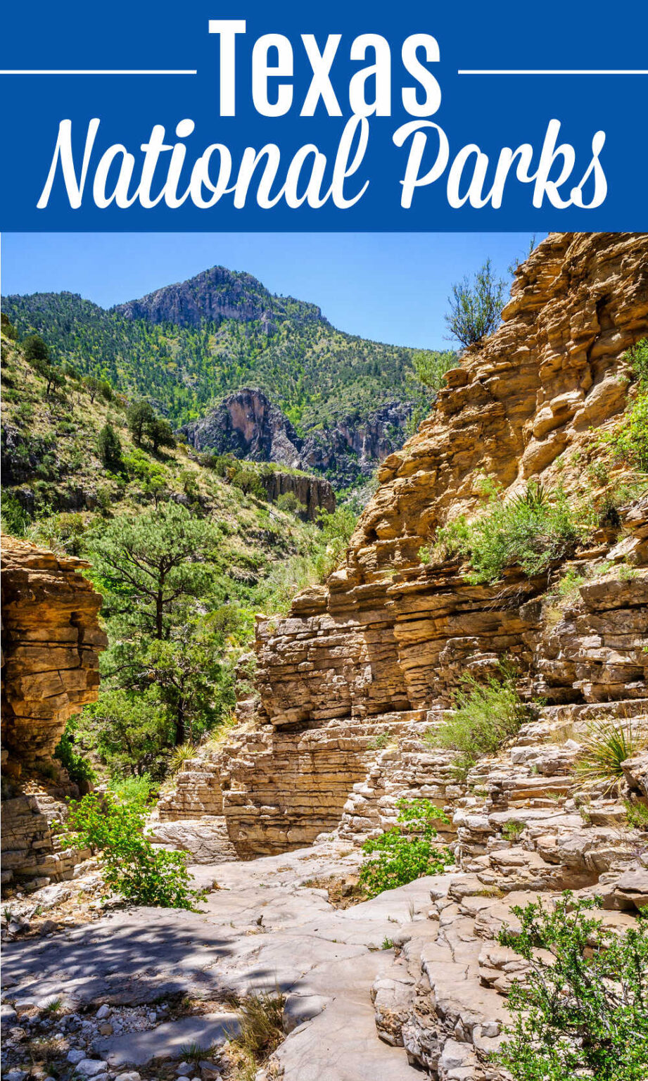 National Parks in Texas (Your Guide to Every Park) | Hello Little Home