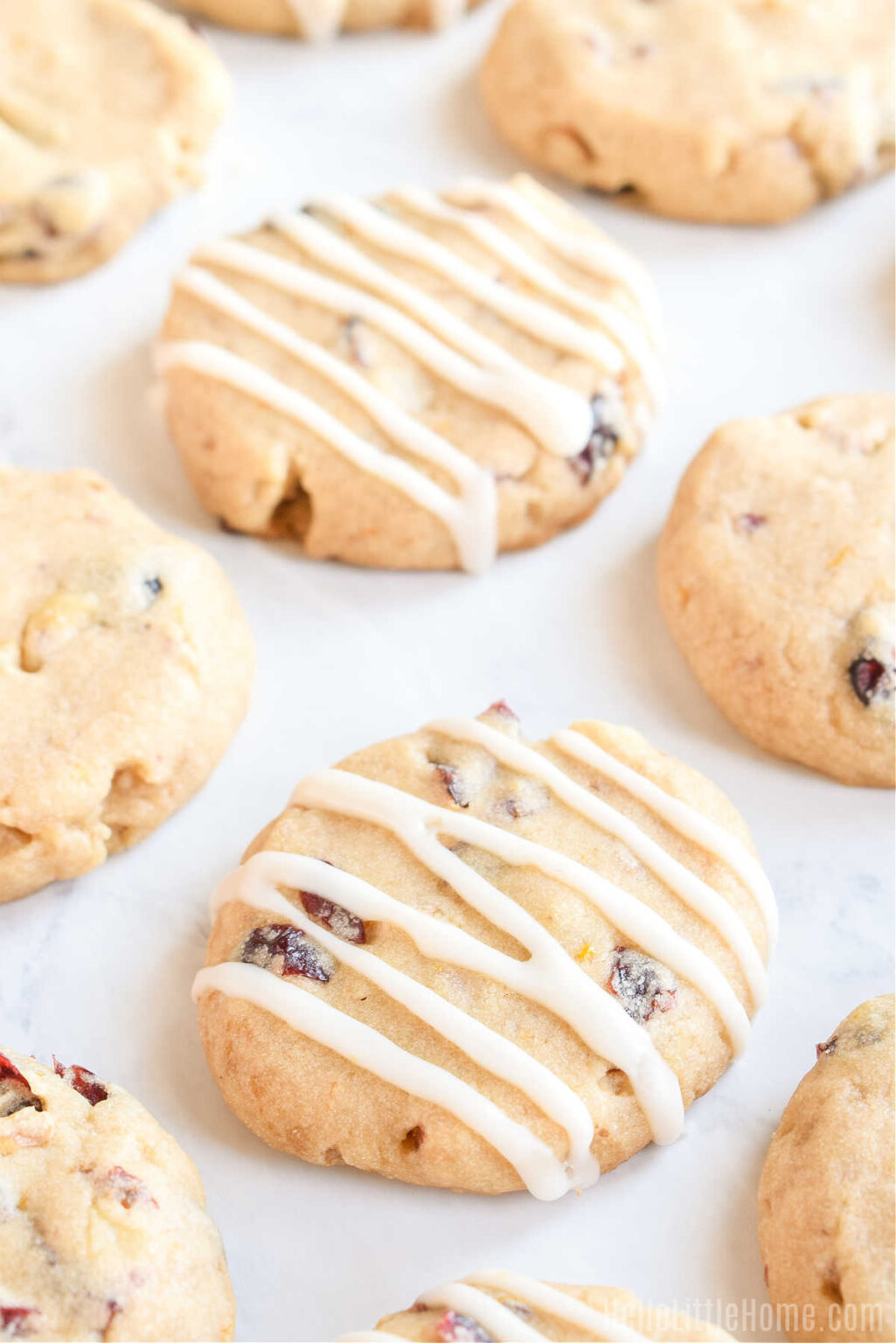 Cranberry Walnut Cookies (Easy Recipe) | Hello Little Home