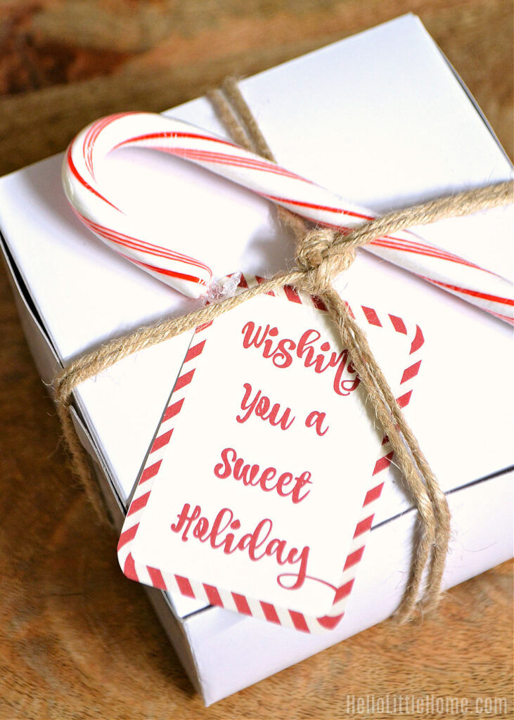 Candy Cane Gift Tags (FREE Printable) | Hello Little Home