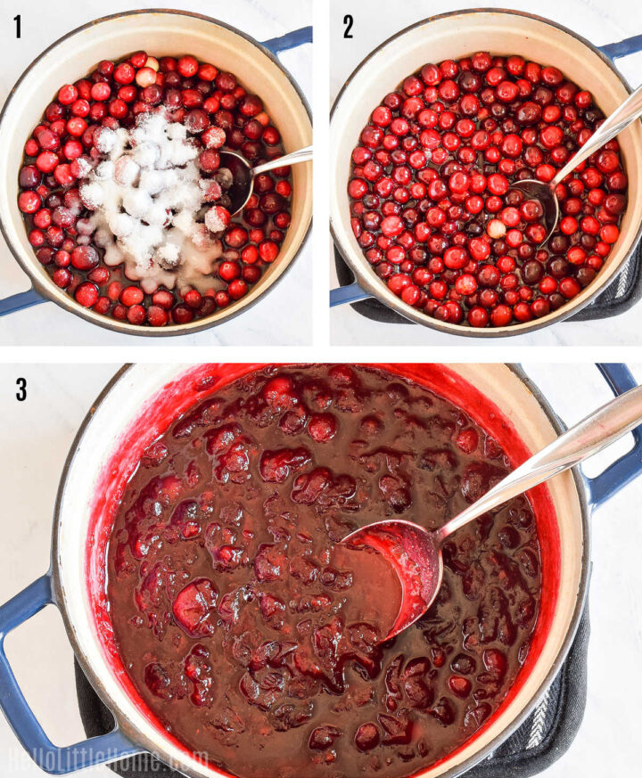 Homemade Cranberry Sauce (Easy Recipe) | Hello Little Home