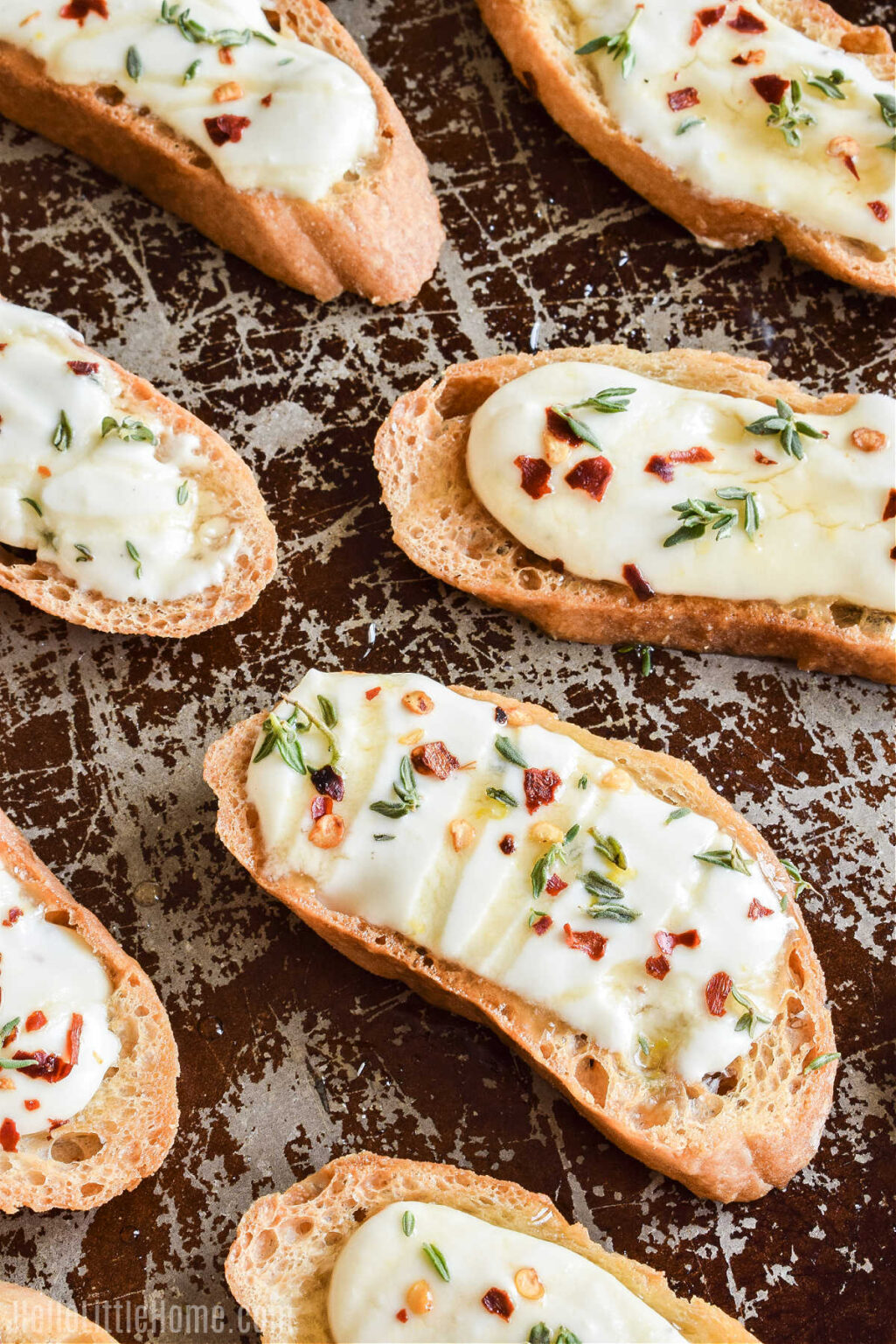 Goat Cheese Crostini (Easy Recipe) | Hello Little Home