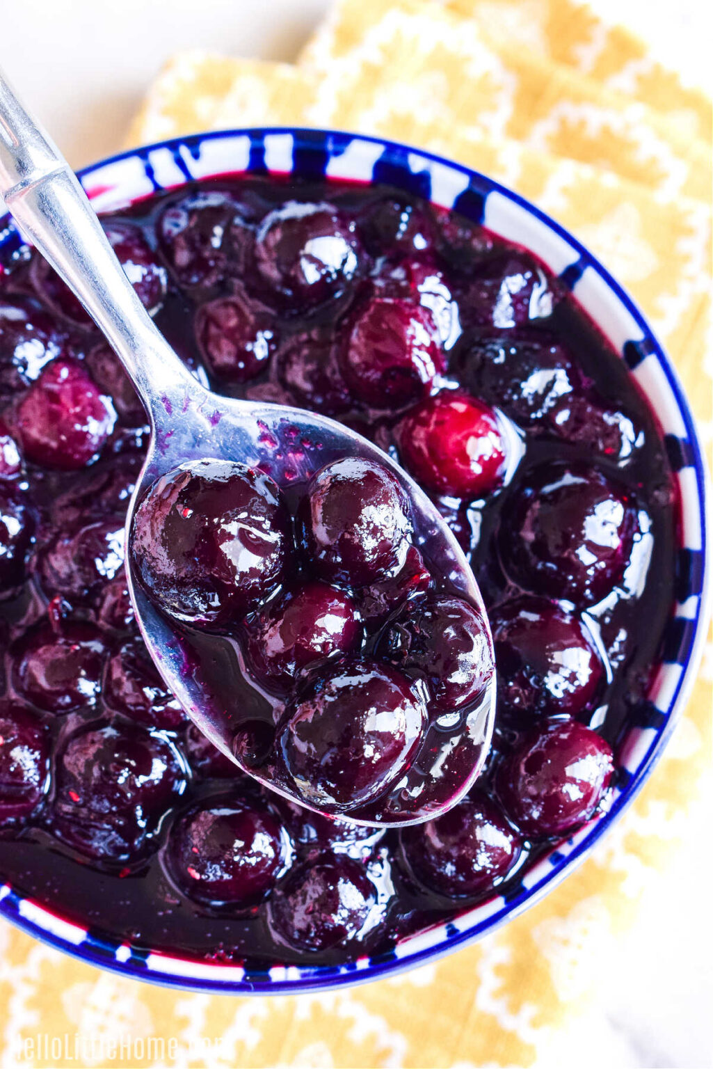 Blueberry Compote (Quick + Easy Recipe) | Hello Little Home
