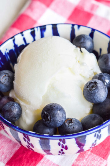 Homemade Frozen Yogurt (Easy Recipe) | Hello Little Home