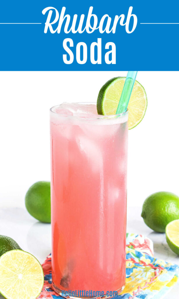 Homemade Rhubarb Soda (Easy Recipe) | Hello Little Home