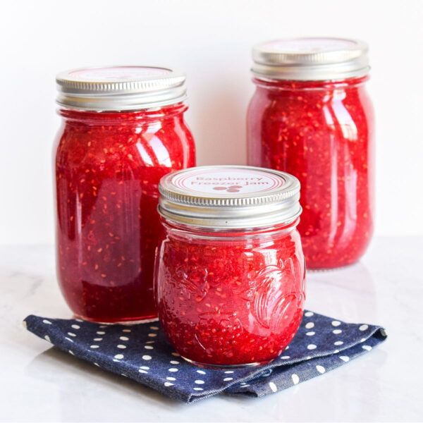 Raspberry Freezer Jam (Easy, No-Fail Recipe) | Hello Little Home