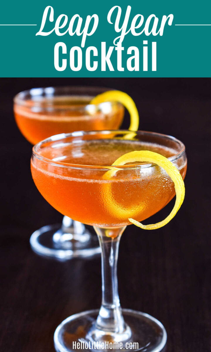 Leap Year Cocktail | Hello Little Home