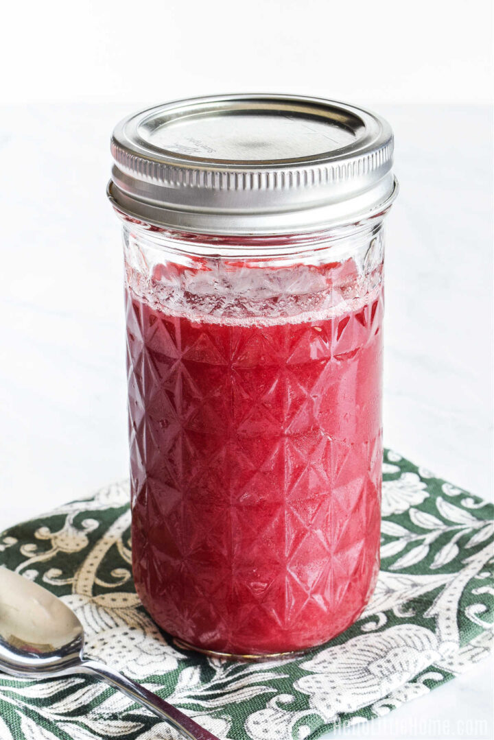Rhubarb Shrub (Easy Recipe) | Hello Little Home