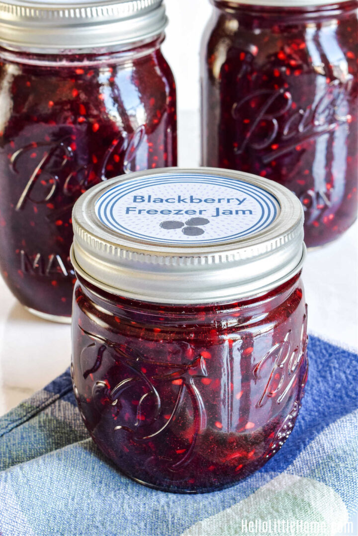 Blackberry Freezer Jam (Quick + Easy Recipe) | Hello Little Home