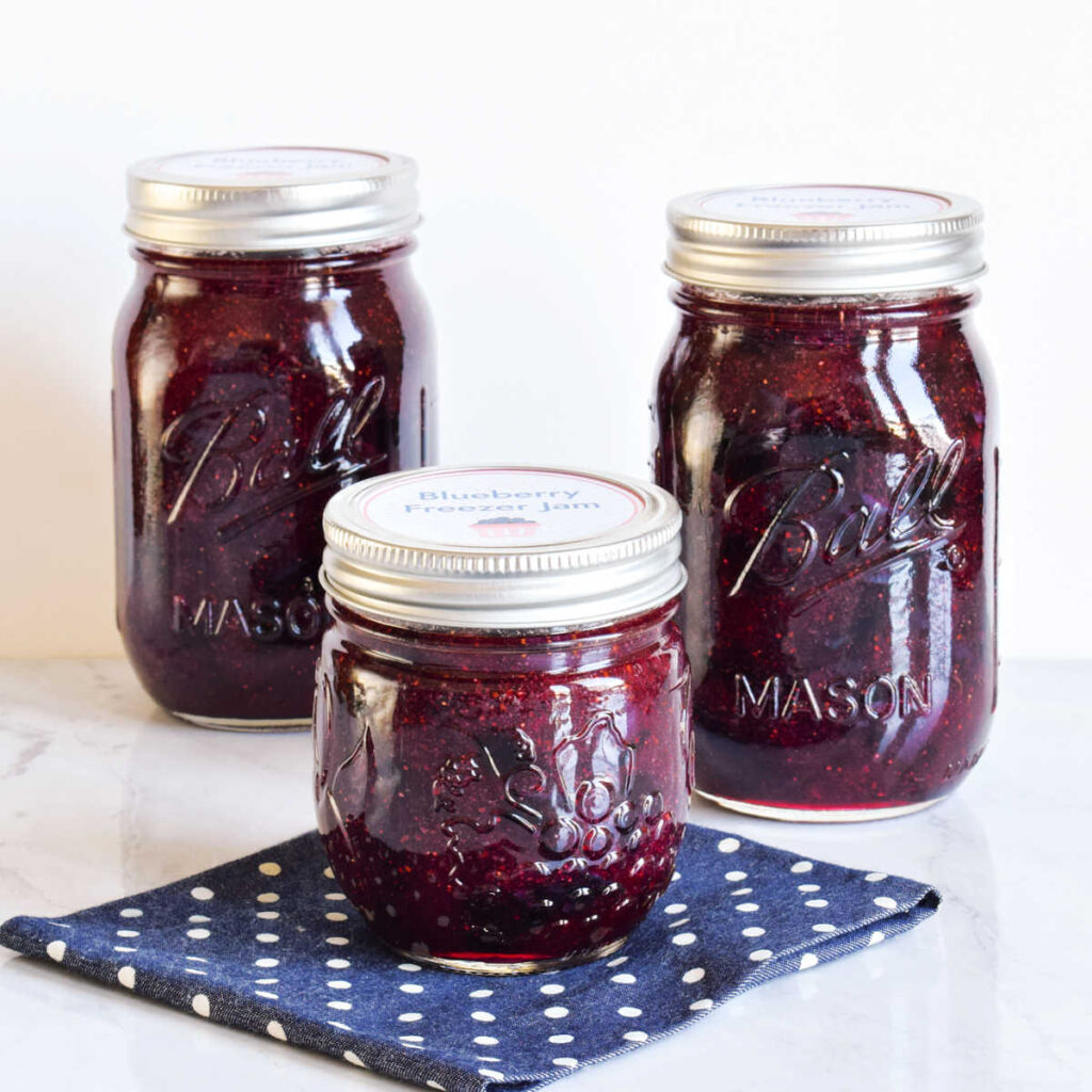 Blueberry Freezer Jam (Quick + Easy Recipe) | Hello Little Home