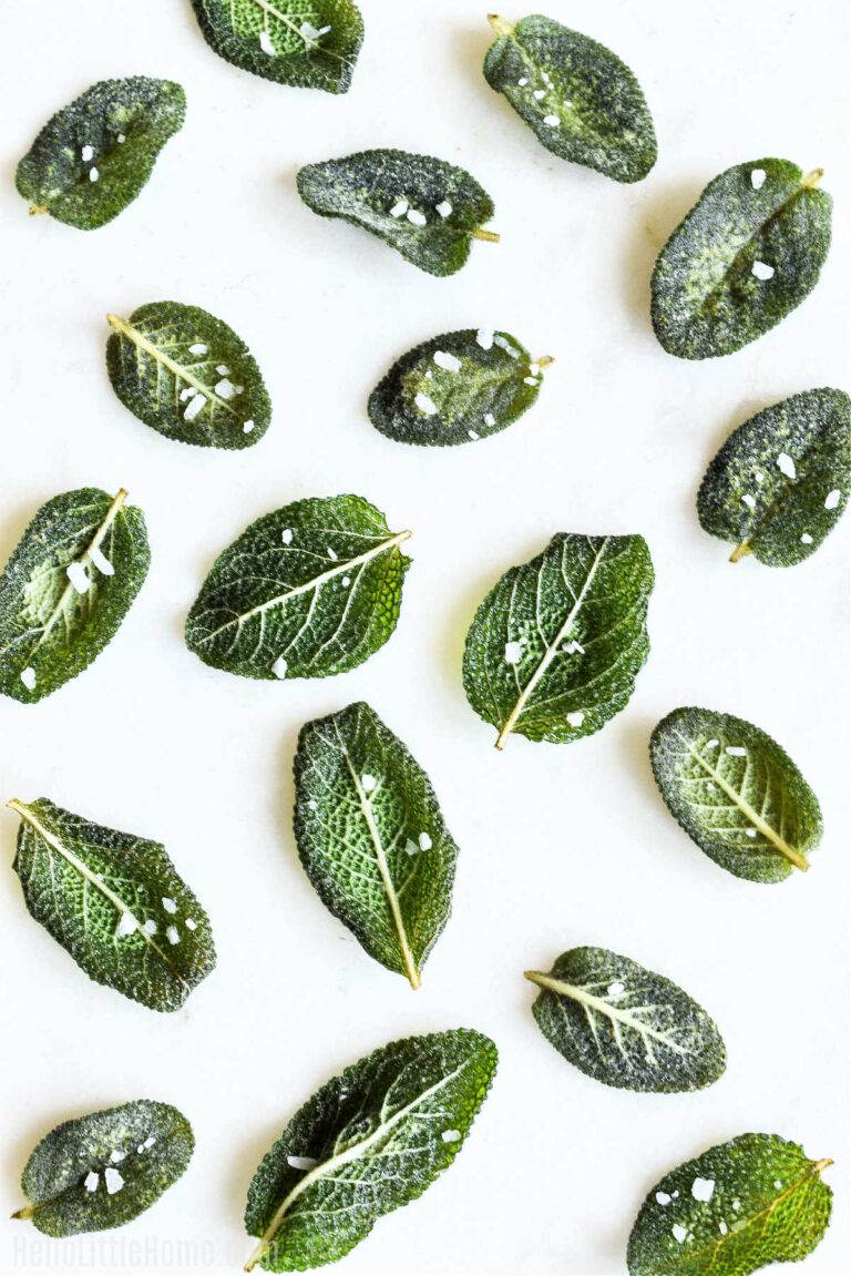 Crispy Fried Sage Leaves (Quick + Easy Recipe)