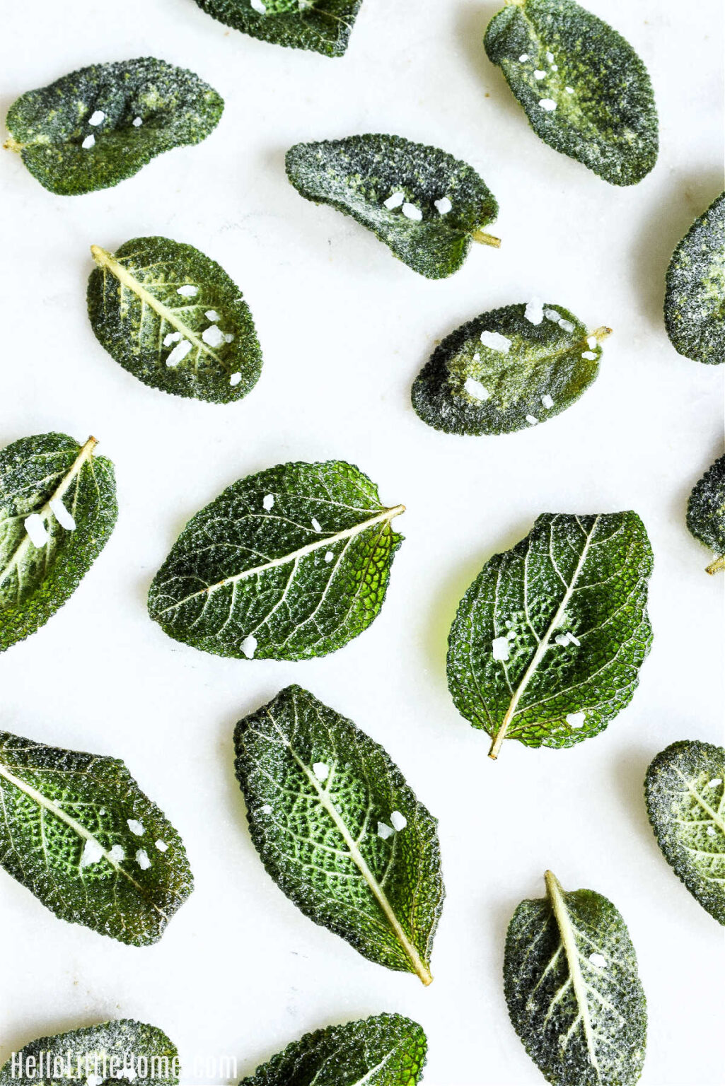 Crispy Fried Sage Leaves (Quick + Easy Recipe)